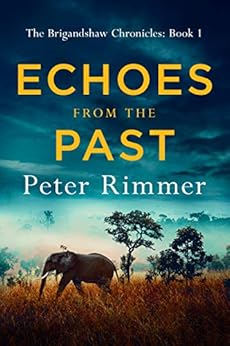 Echoes from the Past (The Brigandshaw Chronicles Book 1) eBook: Rimmer ...