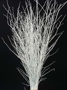 Decorative Coloured Birch Twigs and branches - White - 90cm's - 25 ...
