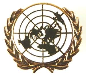 UN United Nations White Lapel Pin Badge: Amazon.co.uk: Kitchen & Home