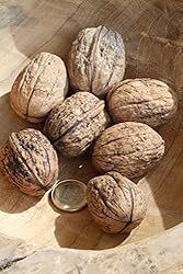 Walnuss-Sorten - Walnussbaum.info