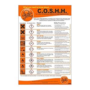 2 x COSHH Posters. The Control of Substances Hazardous to Health ...