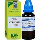 Buy SBL Thuja Occidentalis 200 CH Homeopathic Medicine (30ml) Online at ...