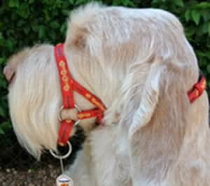 DOGMATIC HEADCOLLAR PADDED CUSHIONED WEBBING PCW DM ADJ (3L, Red ...