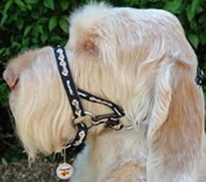 DOGMATIC HEADCOLLAR PADDED CUSHIONED WEBBING PCW - BLACK - SIZE 3L ...