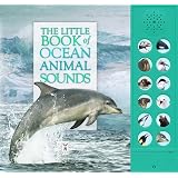 The Little Book Of Night-Time Animal Sounds: Interactive sound book for ...