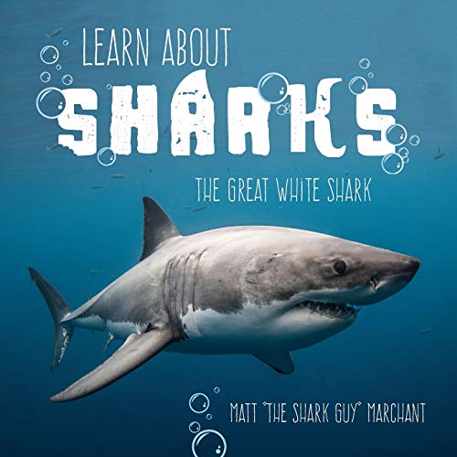Buy Learn About Sharks: The Great White Shark Book Online at Low Prices ...