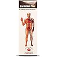 Buy Cardorium Plus - 300 Ml Ayurvedic Syrup Online at Low Prices in ...