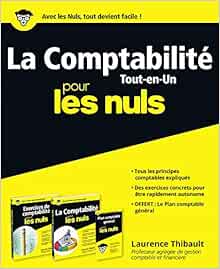 Amazon.fr - La Comptabilité Tout-en-un pour les Nuls - Thibault, Laurence - Livres