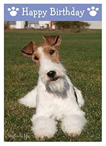 Wire Haired Fox Terrier, Dog Birthday Card: Amazon.co.uk: Office Products