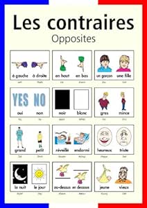 A3 French poster teaching aid / classroom resources - Opposites/Les ...