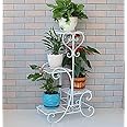 Kundi 4 Tier Plant Stands for Indoors and Outdoors, Flower Pot Holder ...