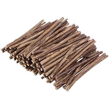 Natural Branch Wooden Sticks for DIY Art Crafts 3-5mm Pack of Approx ...