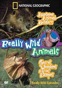 Really Wild Animals: Awesome Animal Builders/Secret Weapons... DVD ...