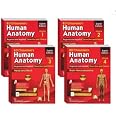 Buy B D Chaurasia's Human Anatomy 4 Volume Set ( Vol.1 to Vol 4) 8th ...