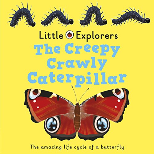 Buy The Creepy, Crawly Caterpillar: Ladybird Little Explorers Book ...