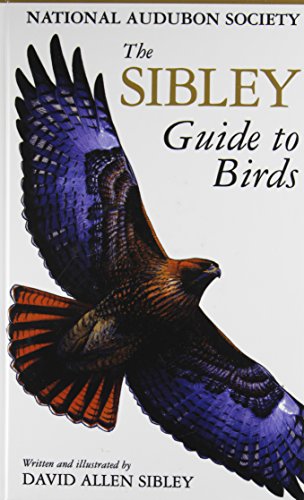 The Sibley Guide to Birds (Audubon Society Nature Guides): Amazon.co.uk ...