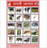 Buy Junglee Janwar Chart for kids (Wild Animals chart in Hindi) Book ...