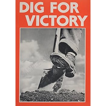 One Life Posters Dig For Victory WW2 Propaganda War A4 poster: Amazon ...