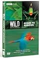 Wild China [DVD]: Amazon.co.uk: Wild China, Wild China: DVD & Blu-ray