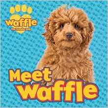 Meet Waffle! (Waffle the Wonder Dog): Amazon.co.uk: Scholastic ...