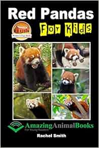 Red Pandas For Kids: Amazon.co.uk: Rachel Smith, John Davidson, Mendon ...
