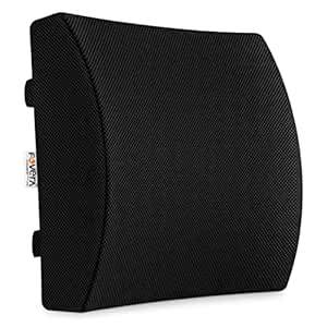 FOVERA Orthopedic Lumbar Support Memory Foam Backrest Cushion ...