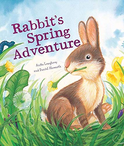Animal Seasons: Rabbit's Spring Adventure: 1: Amazon.co.uk: Loughrey ...