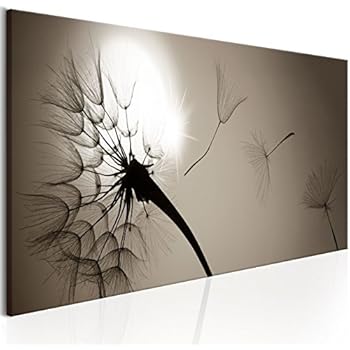 Schöne Pusteblume Schwarz/Weiß, Format: 80x60 auf Leinwand, XXL riesige Bilder fertig gerahmt ...