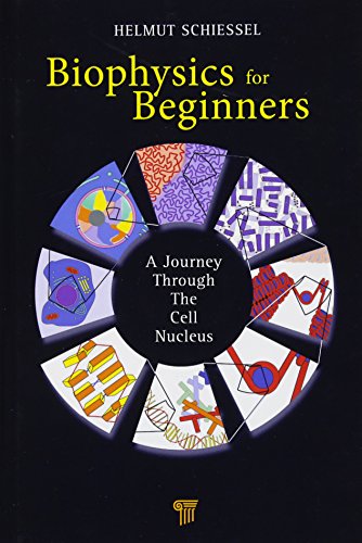 Buy Biophysics for Beginners: A Journey through the Cell Nucleus Book ...