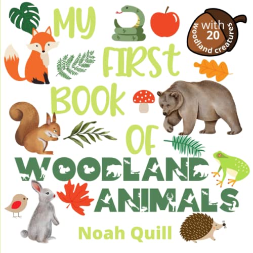 My first book of woodland animals: Colorful picture book introduction ...