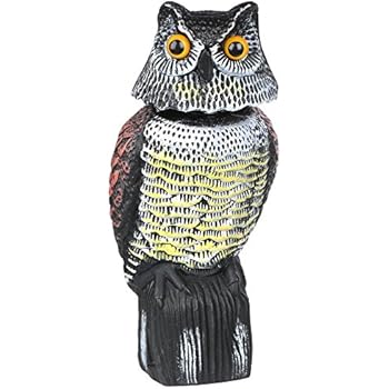 SET 2 Corvi Scaccia Piccioni in Plastica 38 cm Neri I 2X Corvo Finto ...