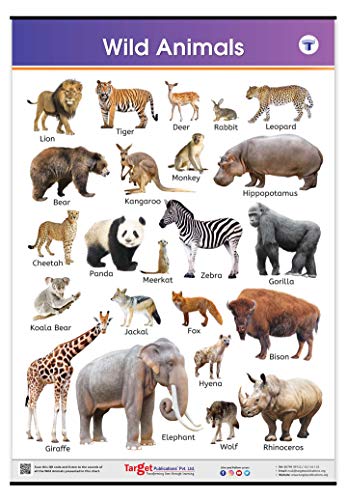 Buy Wild Animals Chart for Kids | Learn about Jungle or Forest Animals ...