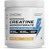 Wellcore Pure Micronised Creatine Powder With Shaker (83 Servings ...