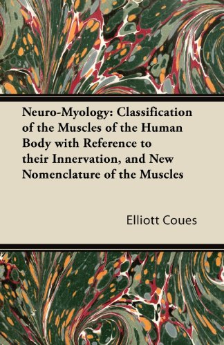 Neuro Myology Classification Of The Muscles Of The Human Body ...
