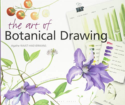 Buy The Art of Botanical Drawing Book Online at Low Prices in India ...