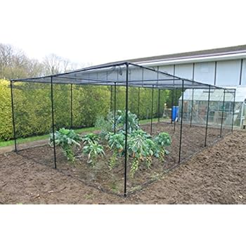 Premium Fruit & Vegetable Garden Cages - Solid Black Metal Protective ...