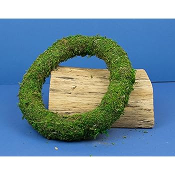 Mossed padded wreath rings x 2. Very easy to use. 8": Amazon.co.uk ...