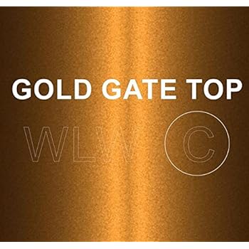 1 x 150ml Gold Heat Resistant Satin Radiator Paint: Amazon.co.uk: DIY ...