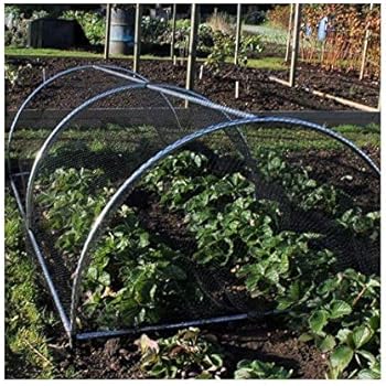 Garden Hoop Tunnel Kits 2.9m Long Complete with Netting (Veggiemesh ...