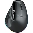 Amazon.in: Buy Portronics Toad Ergo 3 Ergonomic Wireless Mouse with RGB ...