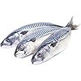 Mackerel Box 20kg : Amazon.co.uk: Grocery