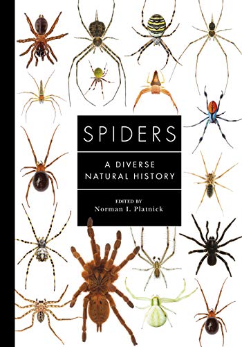 Spiders of the World: A Natural History: Amazon.co.uk: Platnick, Norman ...