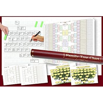 Family tree working chart (10 generations tall , 1 metre long): Amazon ...