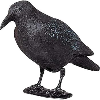 SET 3 Corvi Scaccia Piccioni in Plastica 38 cm Neri | 3X Corvo Finto ...