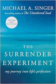 The Surrender Experiment: My Journey into Life's Perfection: Amazon.co ...