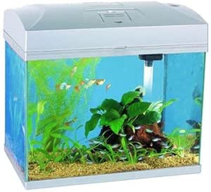 Fish R Fun FRF-370 Silver 20L Rectangular Glass Aquarium : Amazon.co.uk ...