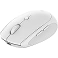 Amazon.in: Buy Portronics Toad III Wireless Mouse with Bluetooth & 2.4 ...