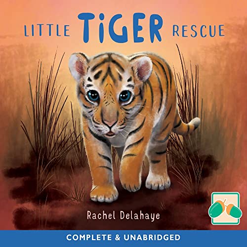 Little Tiger Rescue: Amazon.co.uk: Rachel Delahaye: 9781399103084: Books