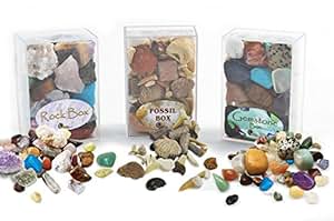 Fossil, Rock and Gemstone Box Collection. Set of 3 Boxes: Amazon.co.uk ...