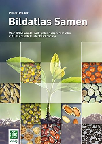 Samen - Lexikon der Biologie